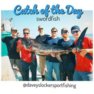 A definite first for Davey's Locker and epic catch of the day ...