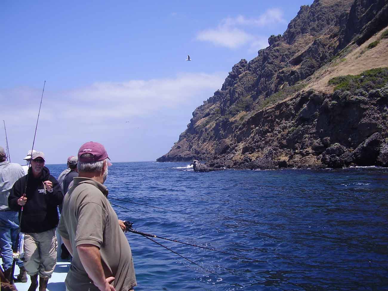 Fishing Charter Rentals 2019 - Daveys Locker