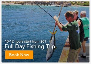 Greater Los Angeles Whale Watching & Fishing-Davey’s Locker