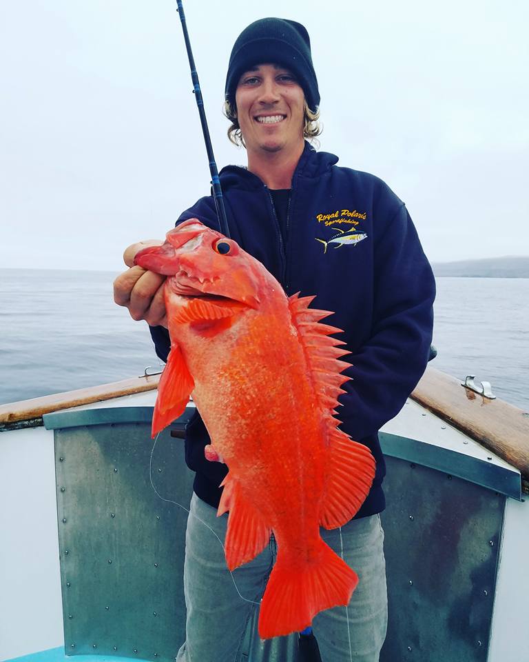 April 2, 2018 - Daveys Locker