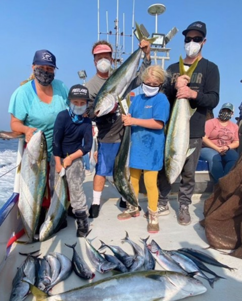 Freelance - Daveys Locker